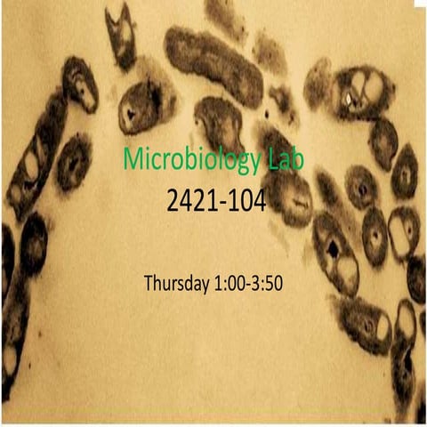 Microbiology lab 1 | PPTX