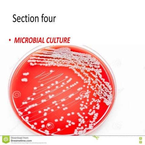 Microbiology lab 1 part 3.pptx