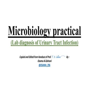 Microbiology (lab diagnosis of urinary tract infections) | PDF