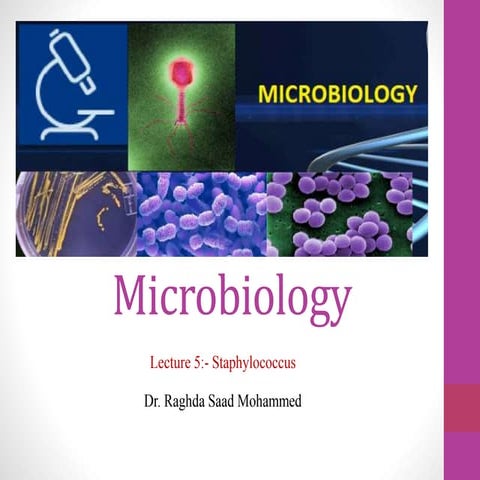 Lecture 5 Staphylococcus Ppt