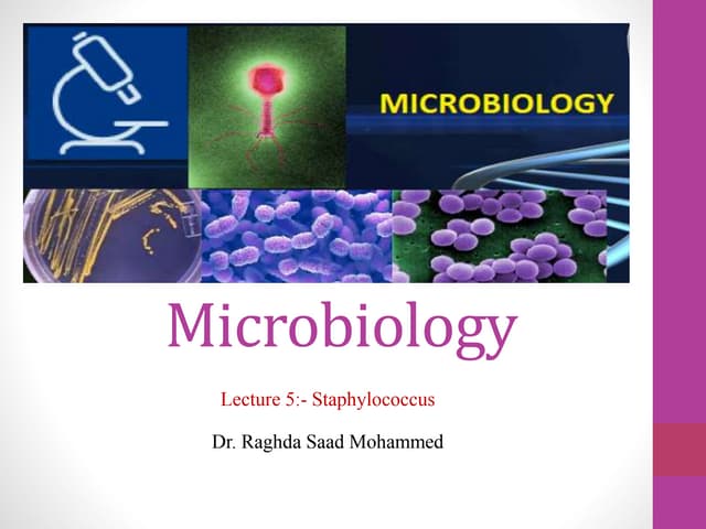 Lecture 5 Staphylococcus Ppt