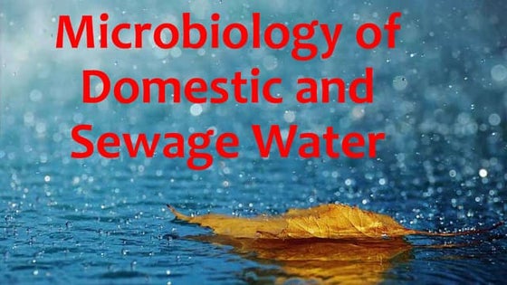 Checking of bacterial contamination of water using H2S | DOCX