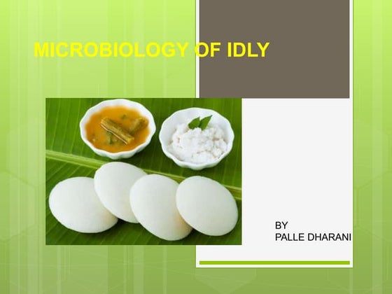 fermentation of idli | PDF
