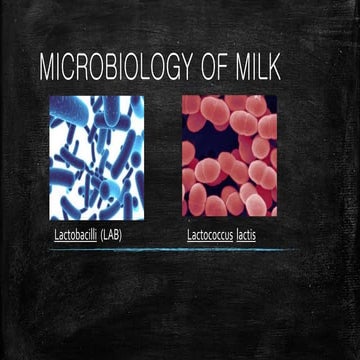 MICROBIOLOGY OF MILK.pptx