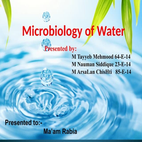 Examination of microorganisms from pond and water sample | PPTX