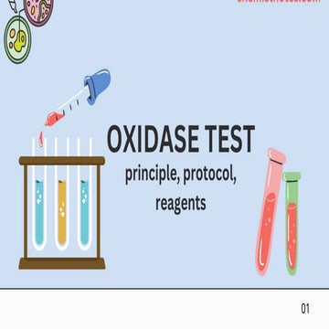 MICROBIOLOGY PRESENTATION on oxidase test for MLT students | PPT