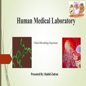 Microbiology Presentation - Copy.pptx