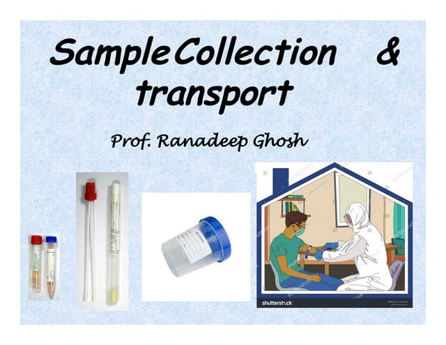 Medical Microbiology Laboratory (sample collection) | PDF