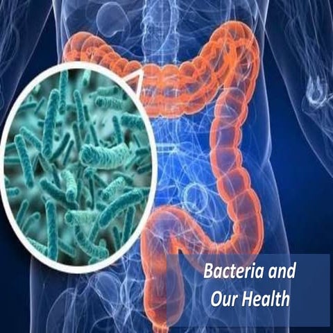 The Gut-Brain Connection: An Inside Look at Depression