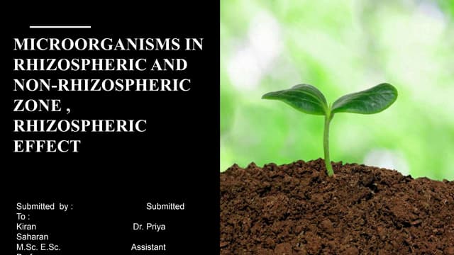Soil Plant-Microbe Interactions in Rhizosphere | PPTX