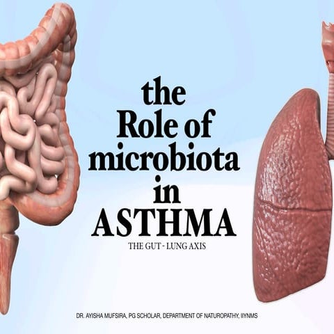 The Gut-Lung Axis: Microbiota in Bronchial Asthma | PDF