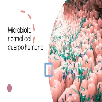Microbiota normal .pptxMicrobiota normal .pptx