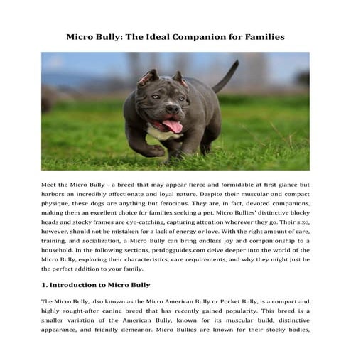 American Micro Bully Dog: The Ideal Companion for Families | PDF