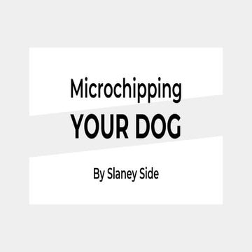 Microchipping Your Dog - Slaneyside Kennels.pdf