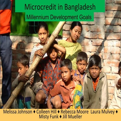 Microcredit Presentationshow | PPS