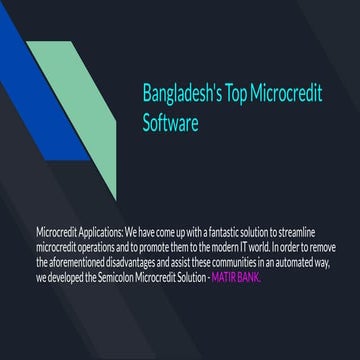 Micro Credit Software | PDF