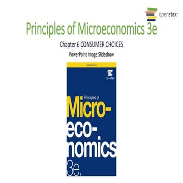 Microeconomics Chapter 6 Section 4 OpenStax PPT | PPTX