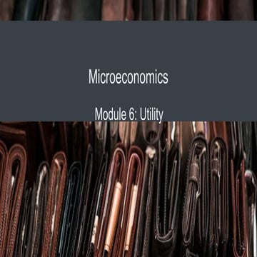 Microeconomics 6 Utility Pptx Coupons And Discounts Shopping