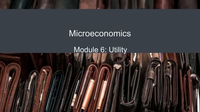 Microeconomics 6 Utility Pptx Coupons And Discounts Shopping