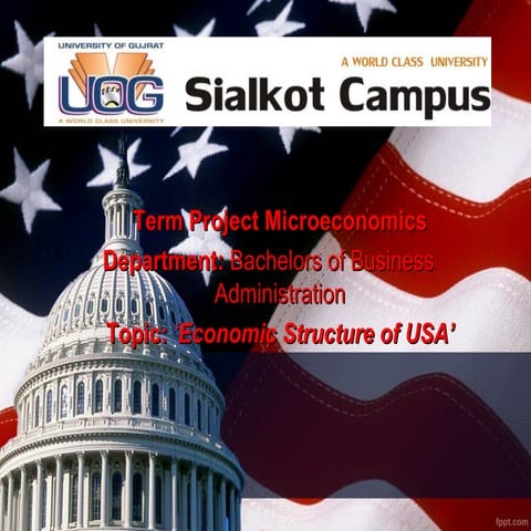 Economic Structure of USA | PPT