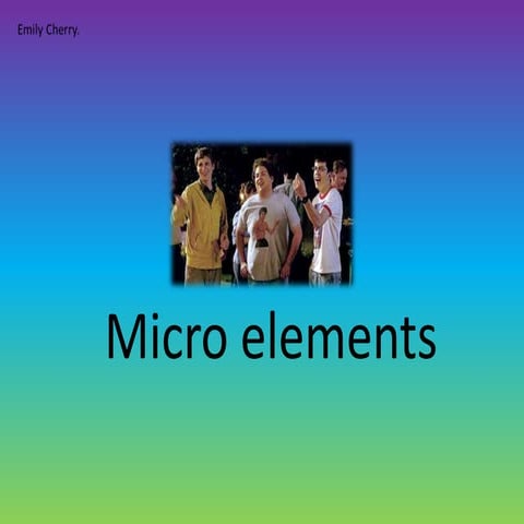 Micro elements | PPTX | Photography | Arts and Crafts