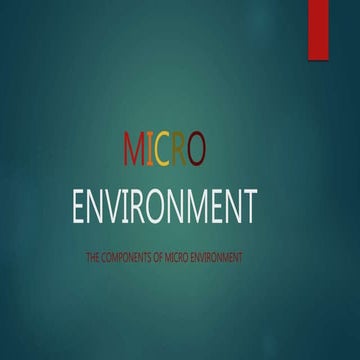 Micro environment | PPTX
