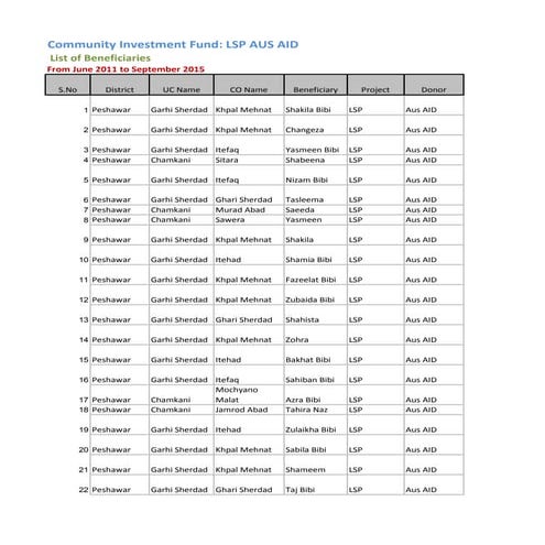 Micro Finance CIF | PDF