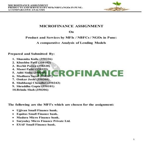 Micro finance Institutions | DOCX
