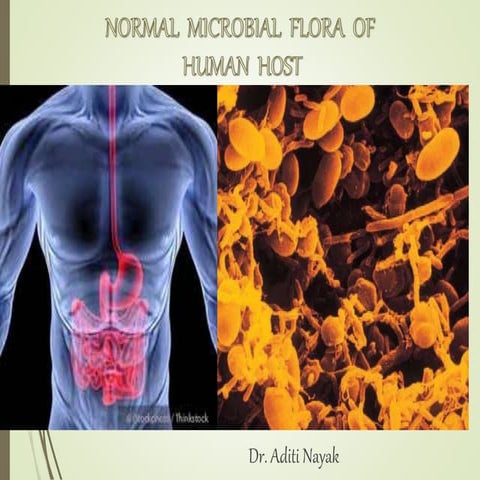 Microflora upto respiratory tract.pptx