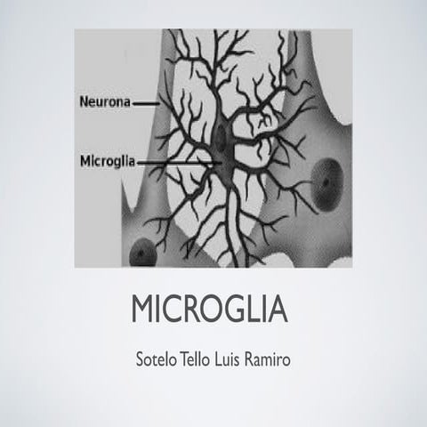 Microglia sotello | PPT