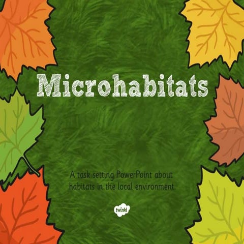 Microhabitats | PPT