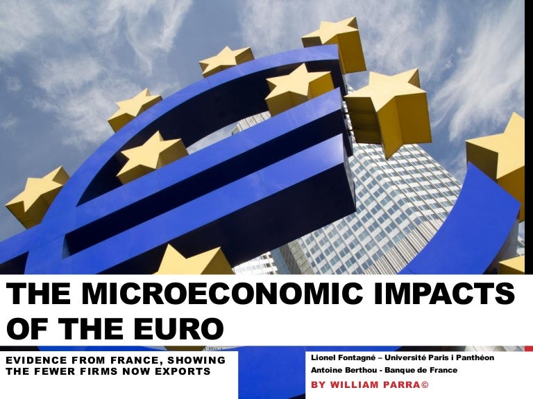Micro impacts of euro