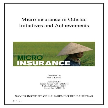 Micro insurance in odisha | PDF