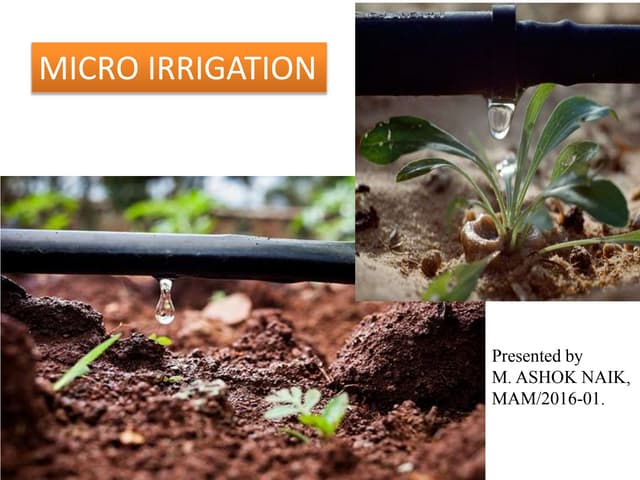 Layout of drip irrigation system | PPTX