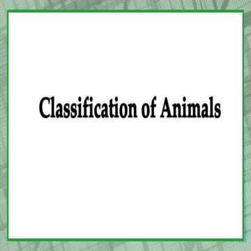 Classification of Animals | PPTX | Reptiles | Pets