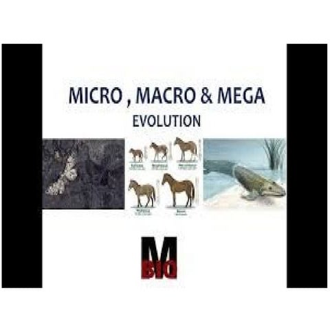 Evolution ( Macro and Micro Evolution).pptx