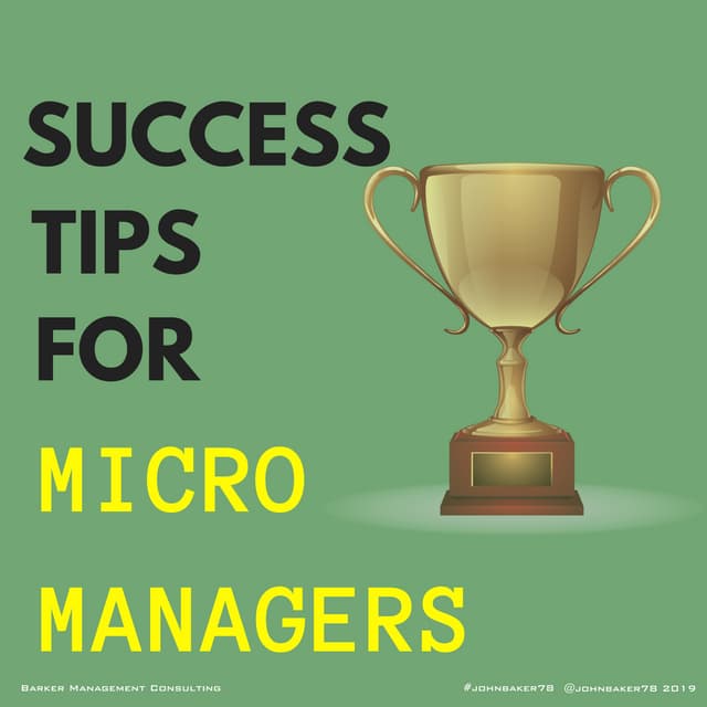 MICRO-MANAGERS: Achieve Greater Success | PDF