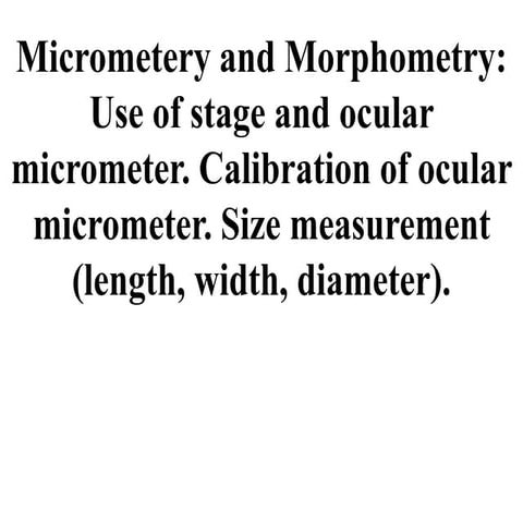 Micrometry and morphometry and measurement of size_3.ppt