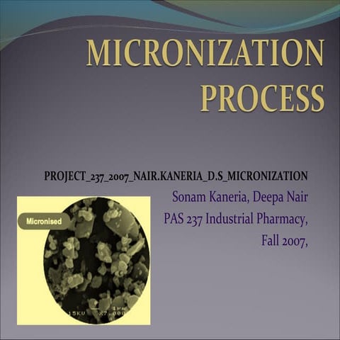 Micronization 2003 | PPT