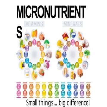 Micronutrients. Definitions, functions in the body. | PPTX