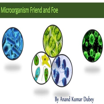 Microorganism | PPTX