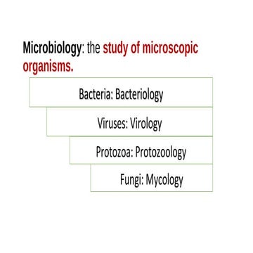 Bacteria & Microbiology | PPT
