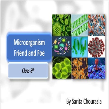 Microorganism for class 8 By Sarita Chourasia | PPT