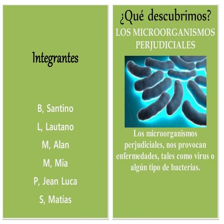 Microorganismos perjudiciales | DOCX