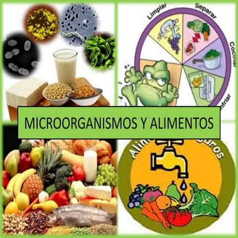 Microorganismos En Los Alimentos