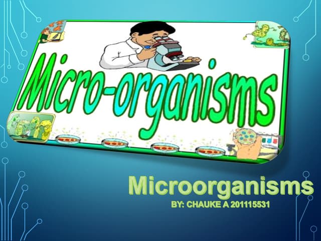 Harmful and Useful Microorganisms Presentation | PPTX