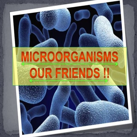 Microorganisms | PPTX