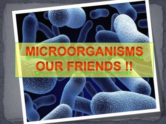 Microorganisms | PPT