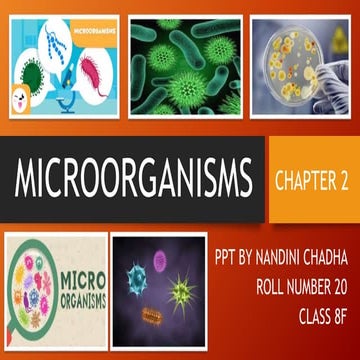 Microorganisms | PPTX