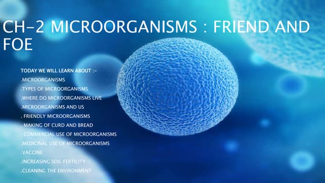 Grade 8: Microorganisms. | PPTX